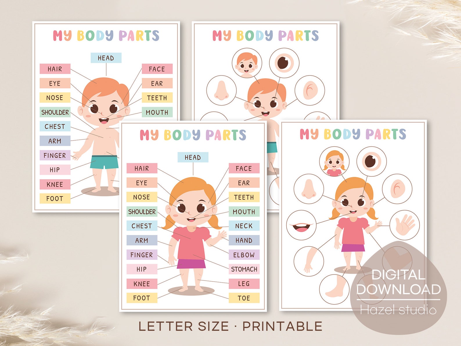 Body Parts Matching Learning Activity Printable Human Body - Etsy