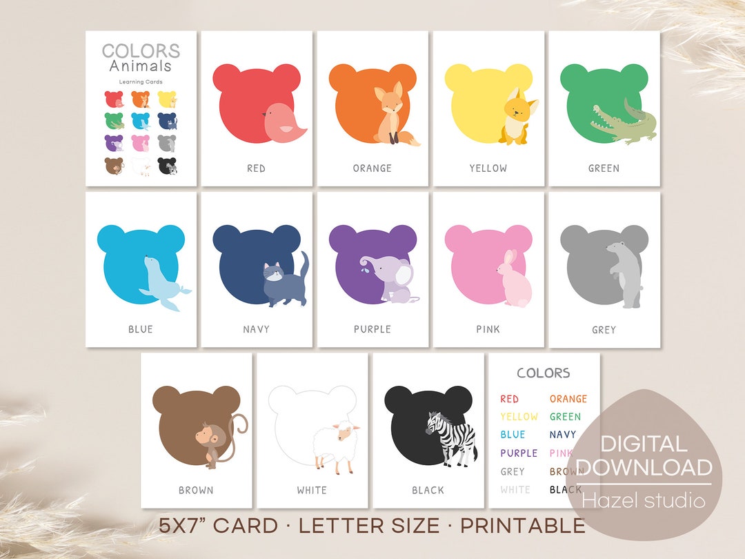 Colors Flash Cards, Animal Colors Cards, Montessori Materials ...
