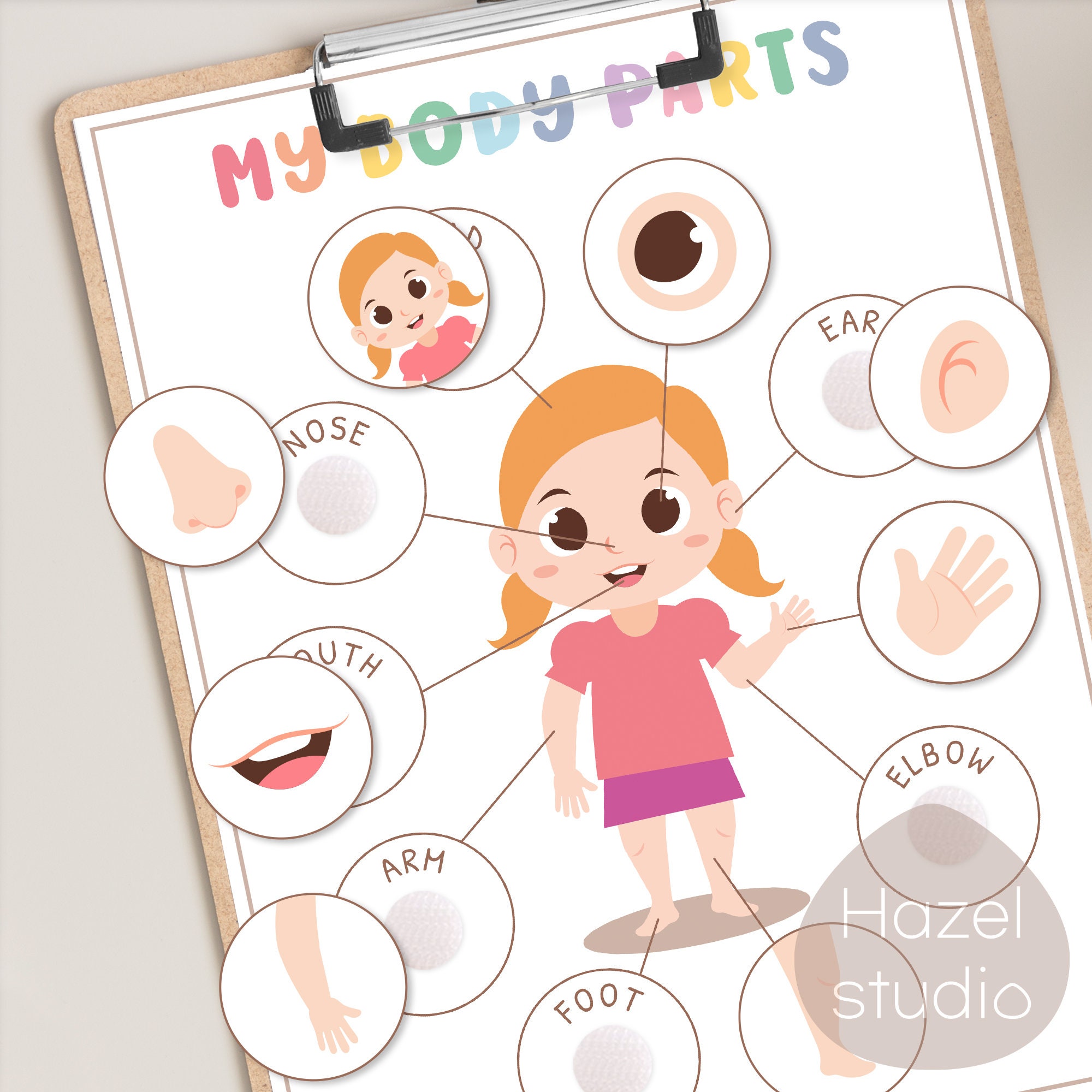 Body Parts Matching Learning Activity Printable Human Body - Etsy