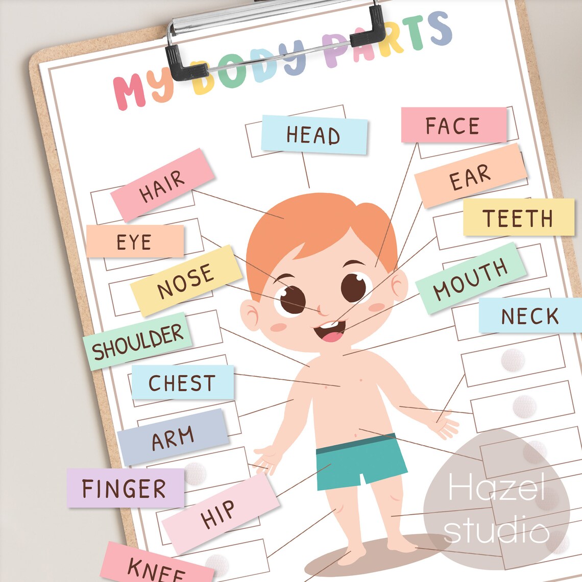 Body Parts Matching Learning Activity Printable Human Body - Etsy