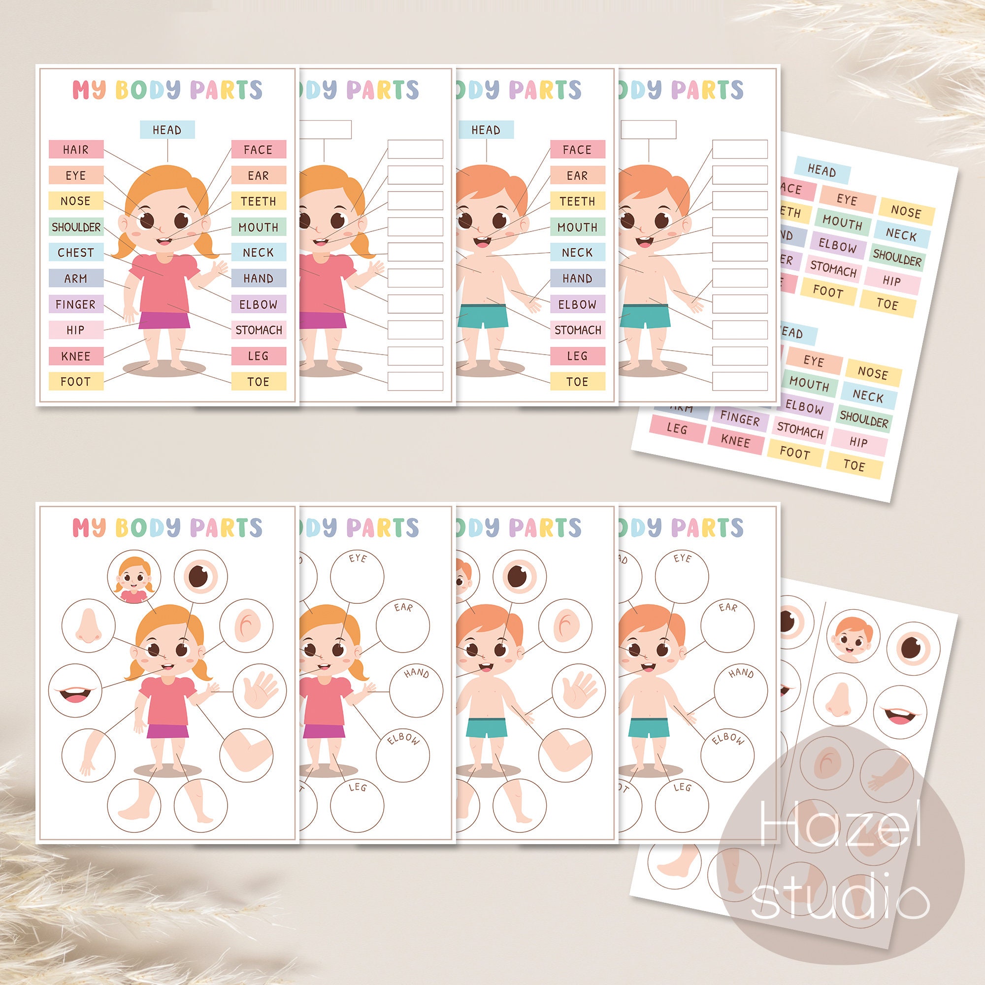 Body Parts Matching Learning Activity Printable Human Body - Etsy