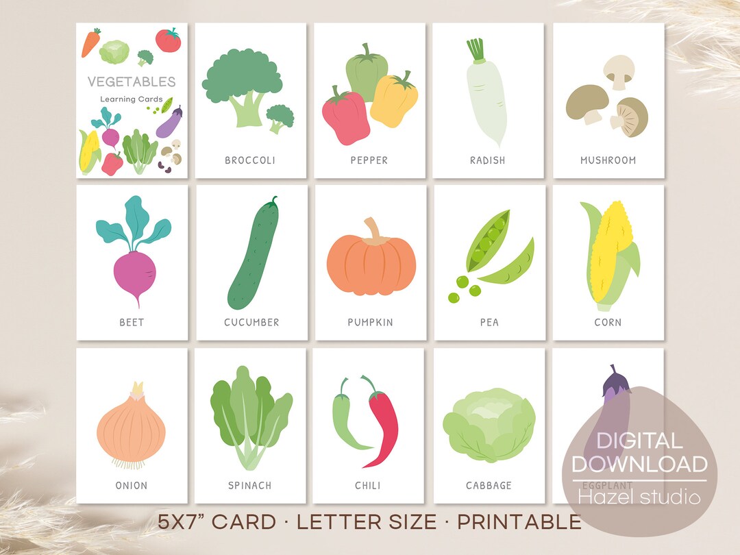 Vegetables Flash Cards, Learning Cards, Montessori Materials ...