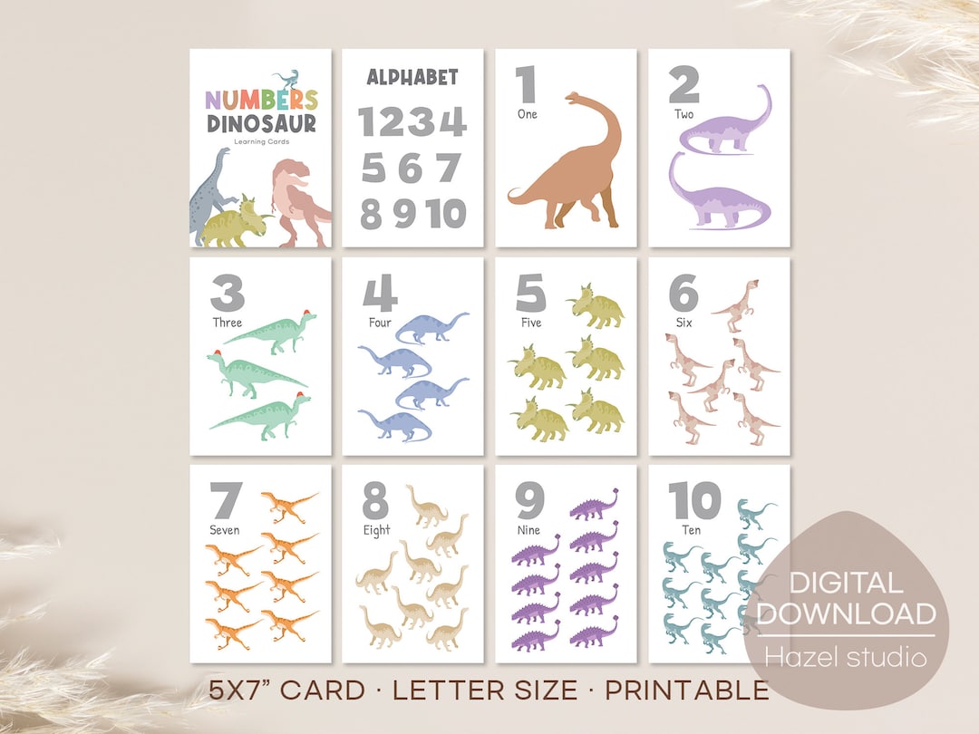 Number Flash Cards, Dinosaur Number Cards, Montessori Materials ...