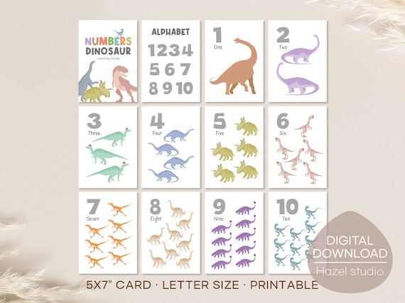 Number Flash Cards Dinosaur Number Cards Montessori - Etsy