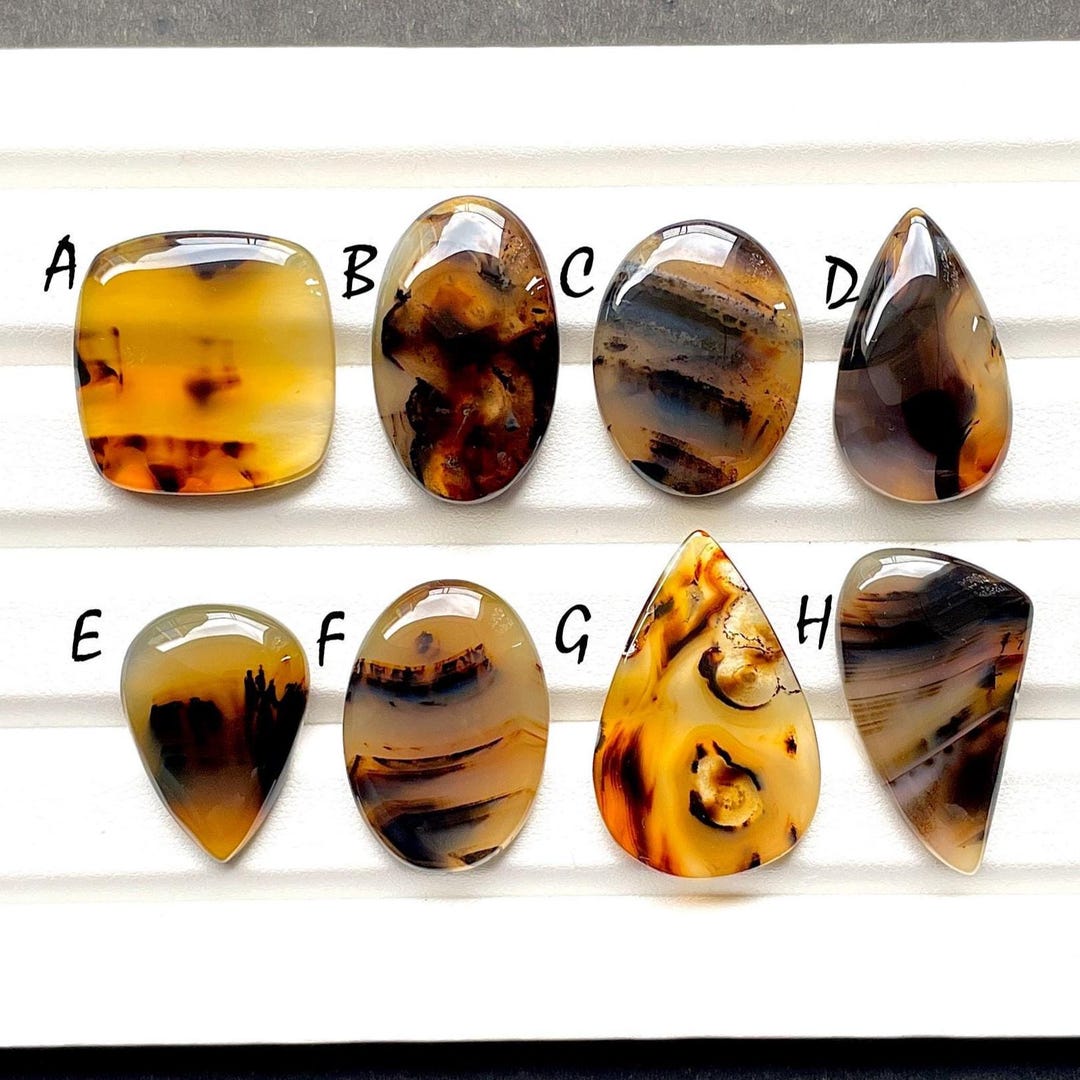 NEW Yellowstone River Montana Agate Cabochon Loose Gemstone for Jewelry ...