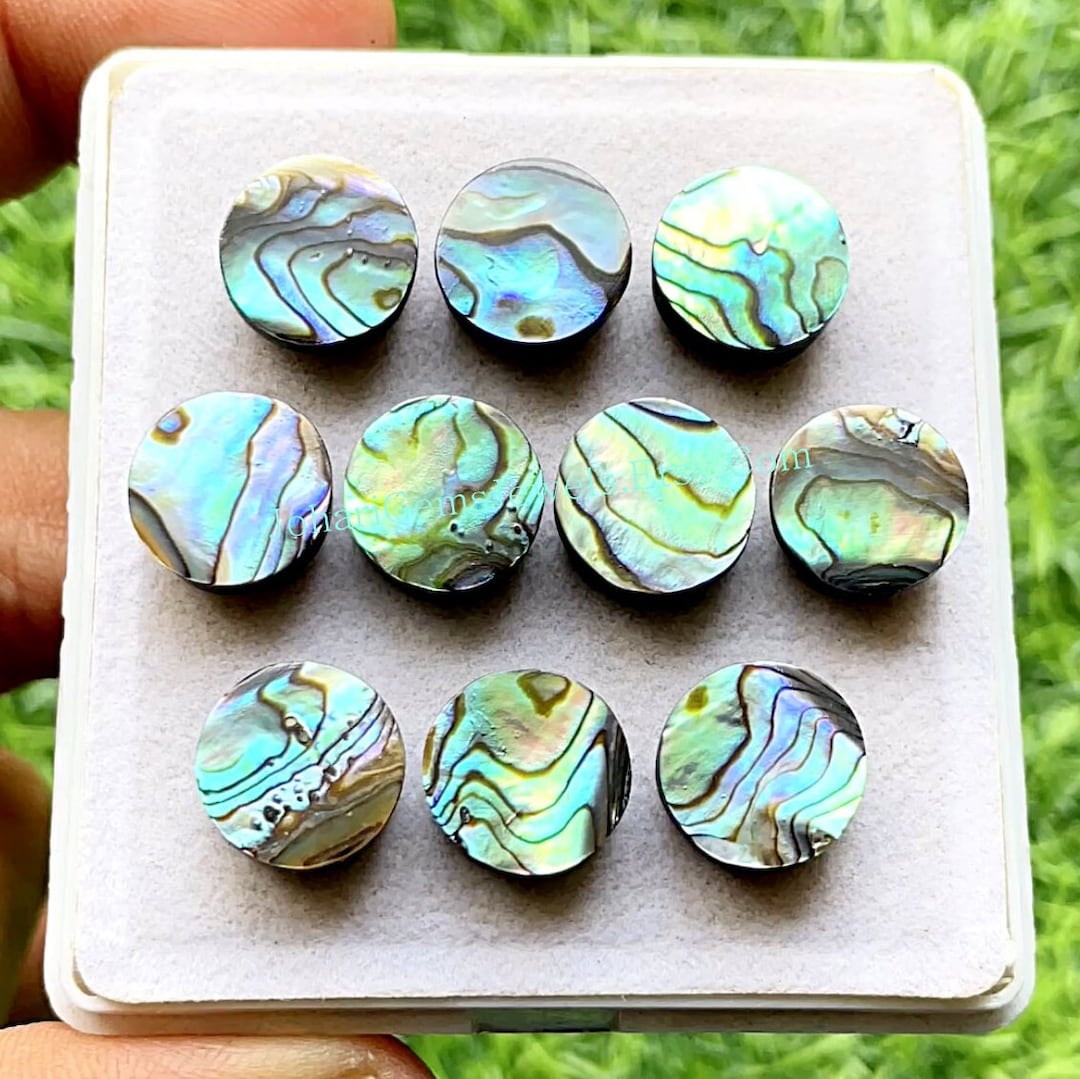 Abalone Shell Calibrated Round Shape Cabochon With Flat Back 10 Pieces ...