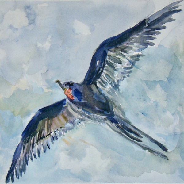 Frigate Bird - Etsy