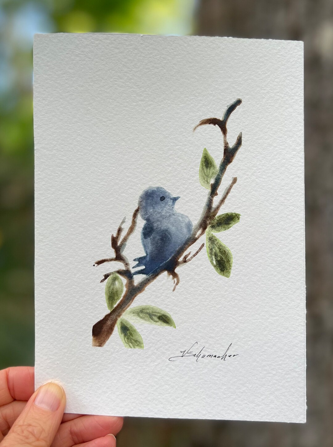 Bluebird on Tree Branch, Handpainted, Original Signed, Watercolor Art ...