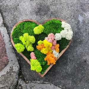 Mother’s Day Colourful Moss Heart - Etsy