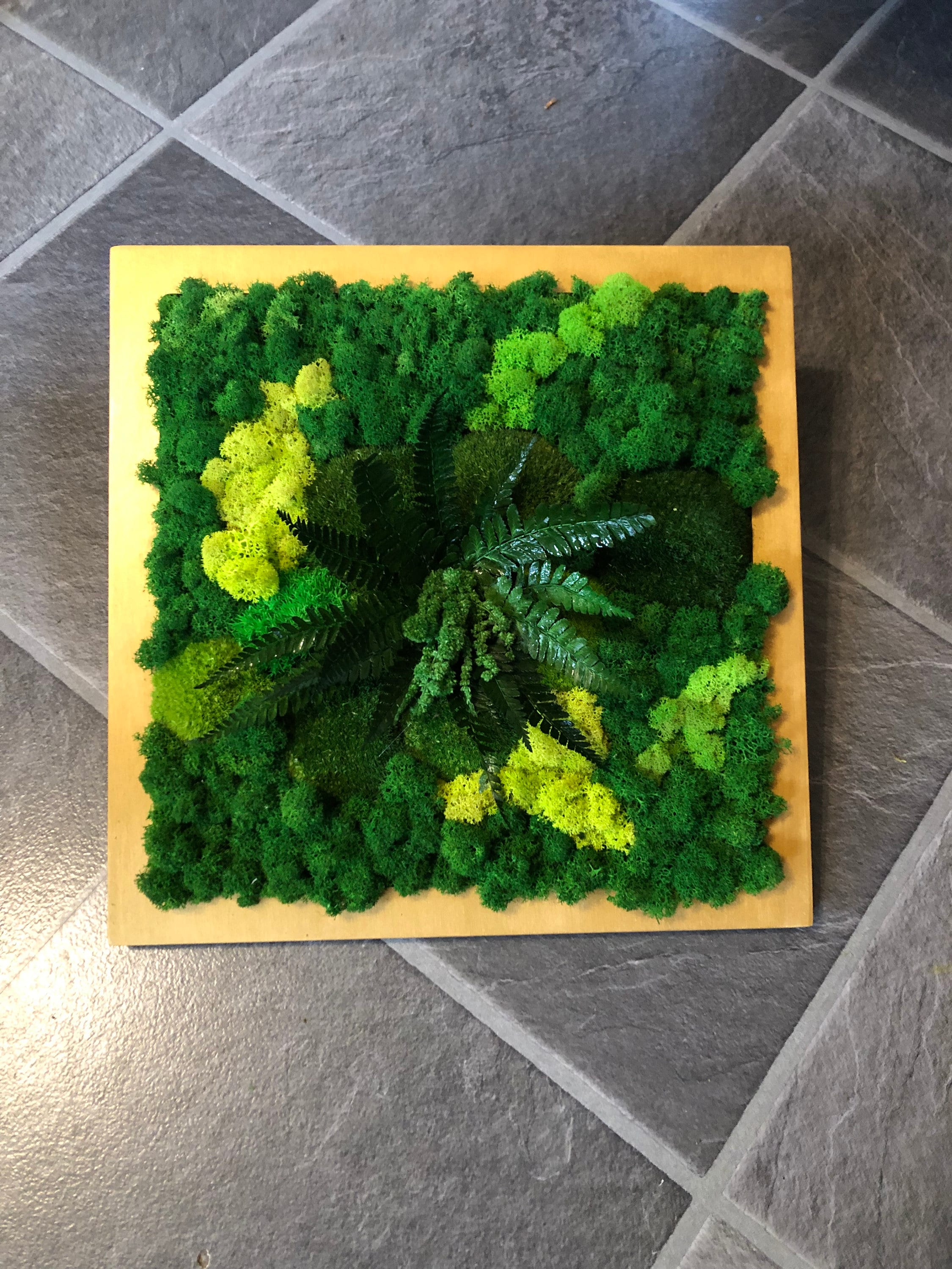 Preserved Moss Frame With Rose - Etsy