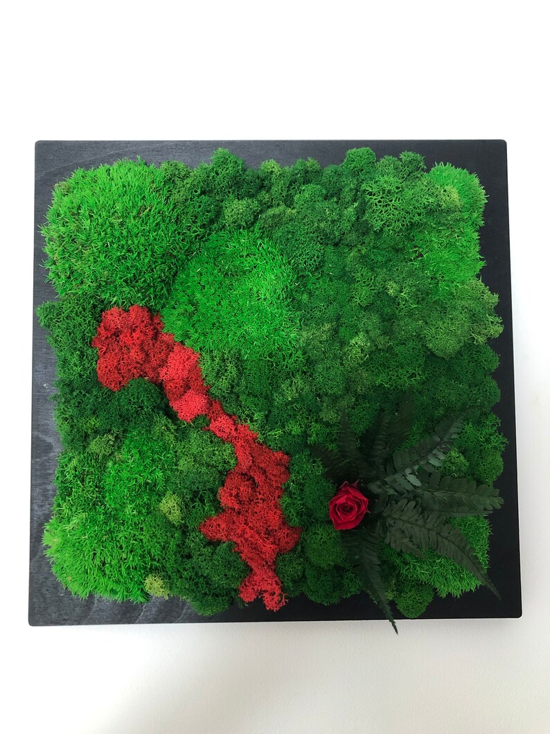 Preserved Moss Frame With Rose - Etsy