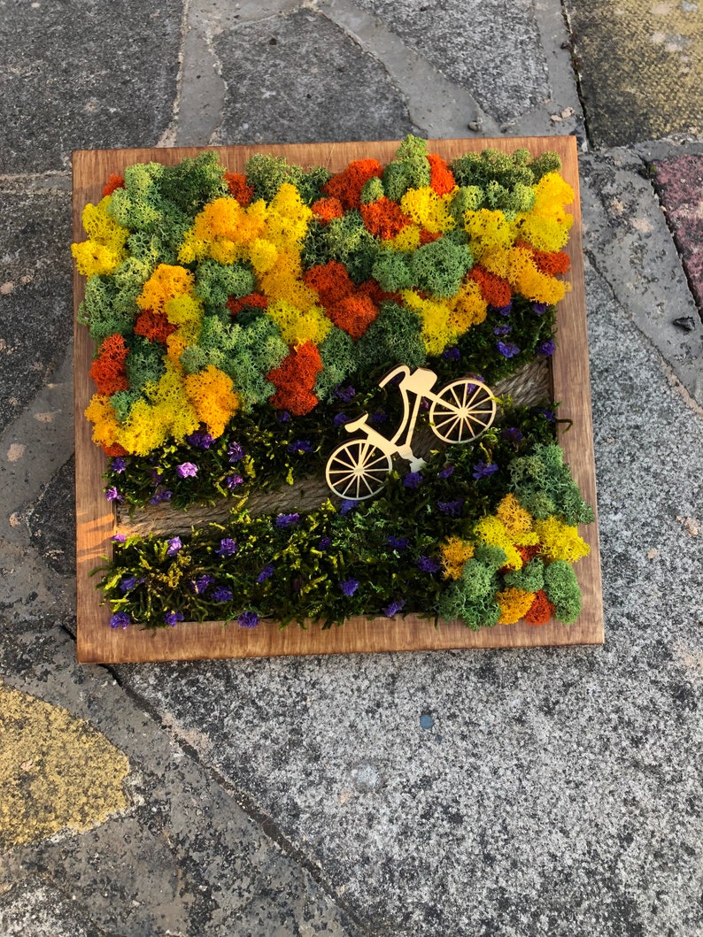 Preserved Moss Frame With Bike - Etsy
