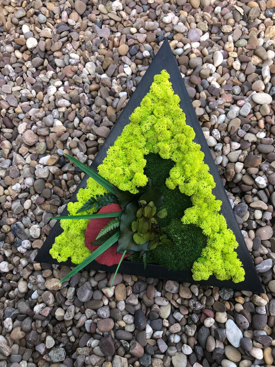 Moss Triangle Wall Deco - Etsy