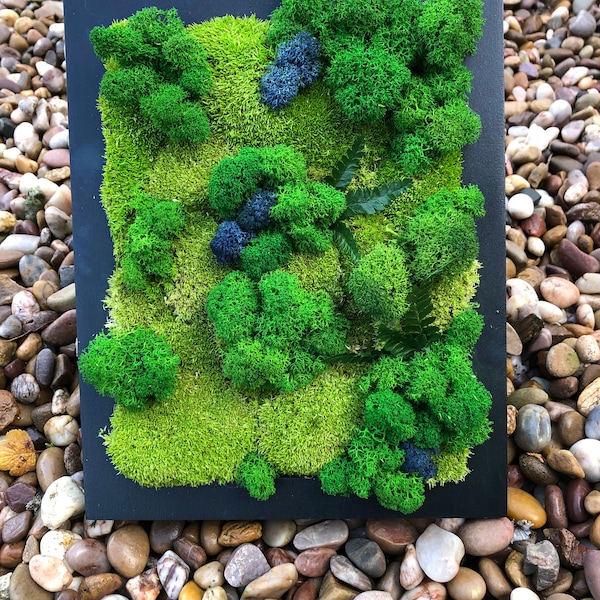 Moss Frame - Etsy