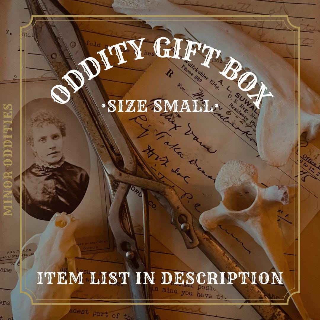 Crypt Collections : SMALL Oddity Gift Box FAMOUS - Etsy