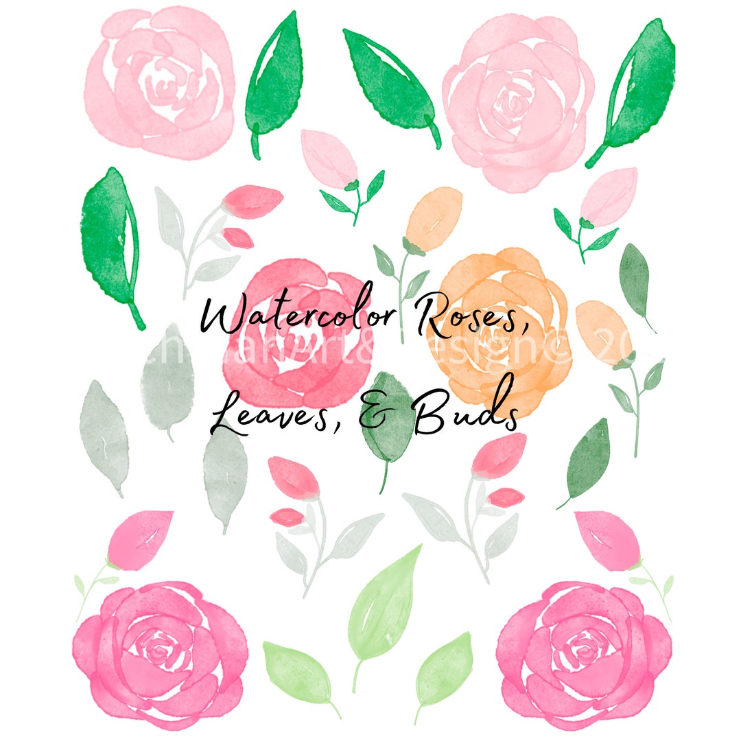 Digital Watercolor Florals & Leaves Clip Art , Hi-resolution PNG PDF - Etsy