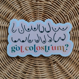 Postpartum Nurse Sticker Pack - Etsy