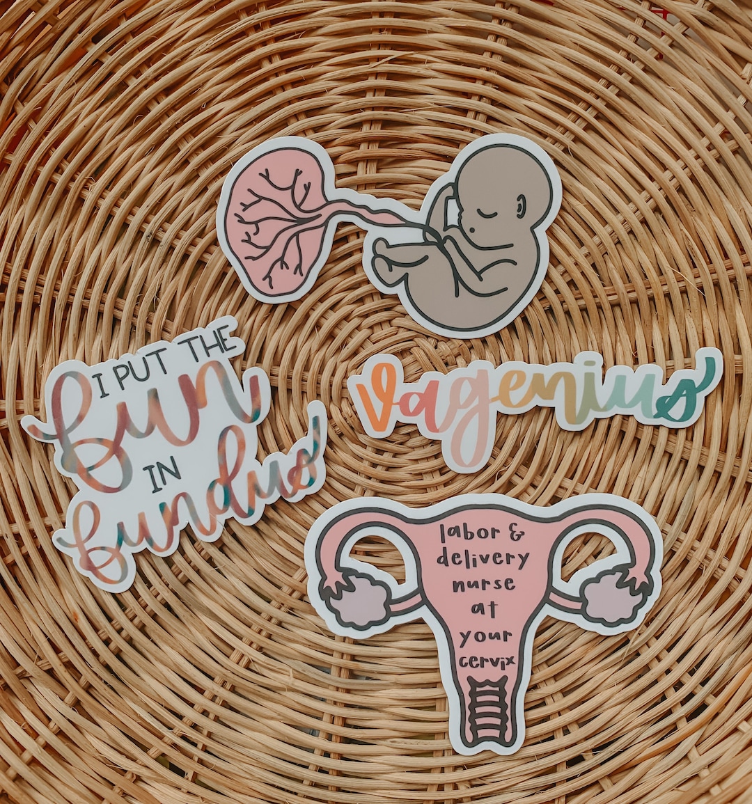 Labor and Delivery Nurse Sticker Pack - Etsy