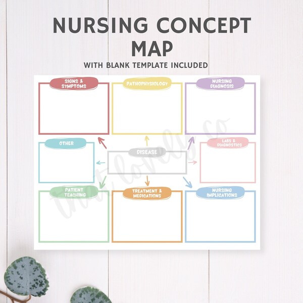 Nursing Concept Map Template - Etsy
