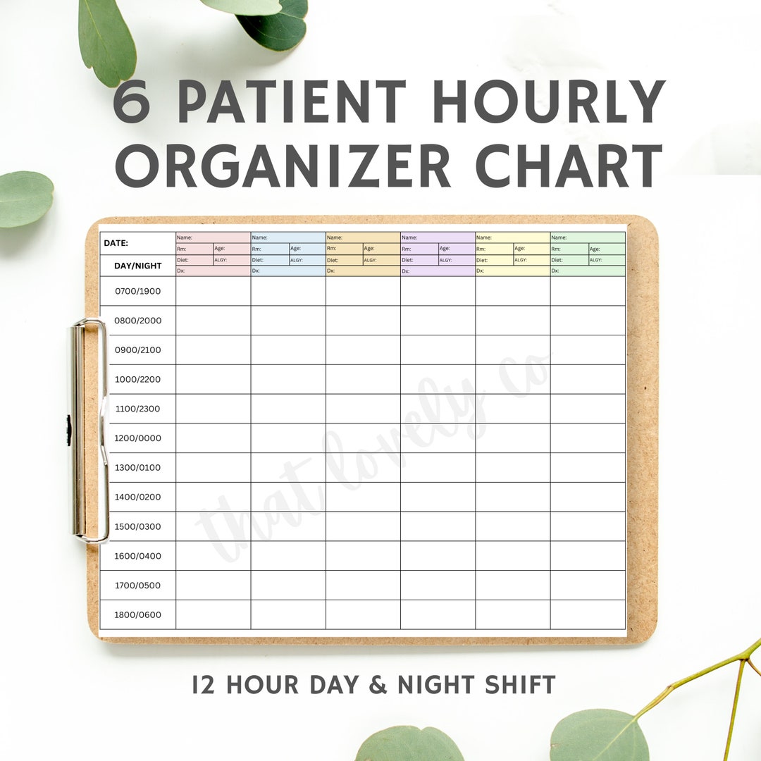 6 Patient Hourly Organizer & Vitals Chart, Nurse Chart, Nurse Report ...