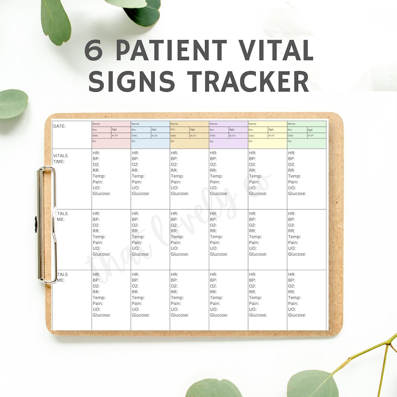 6 Patient Hourly Organizer & Vitals Chart Nurse Chart Nurse - Etsy