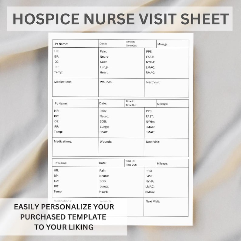Hospice Patient Visit Notes/charting Printable, Hospice Report Sheet ...