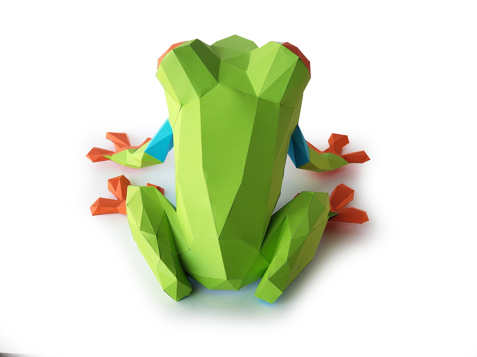 Red-eyed Tree Frog 3D Papercraft Model Papercraft for Cameo - Etsy