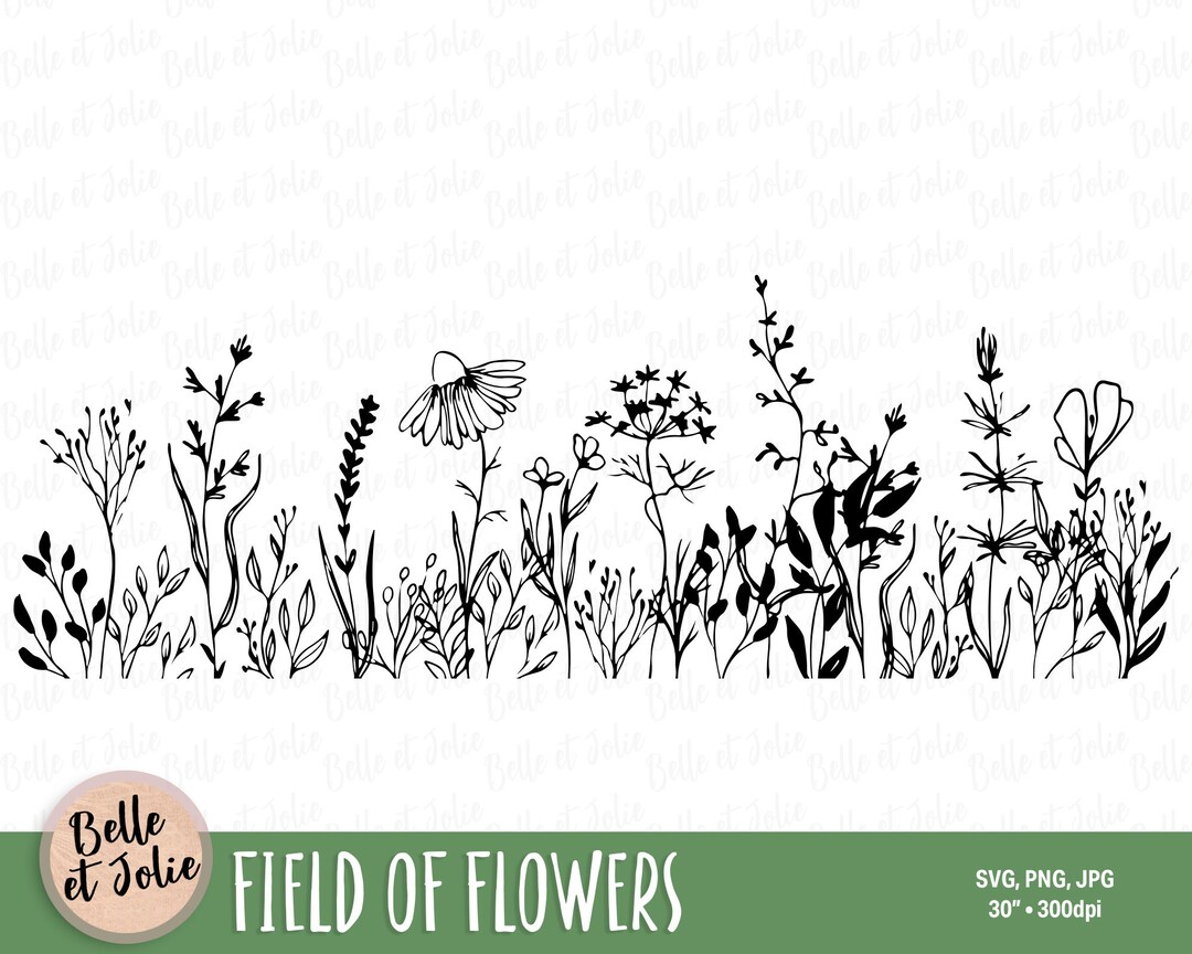 Hand Drawn Flowers, Vector Wildflower Sketch, Wildflowers Sketch SVG ...