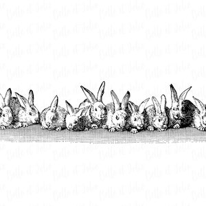 Easter SVG Bunny SVG Vintage Bunny PNG Easter Rabbit Bunny - Etsy