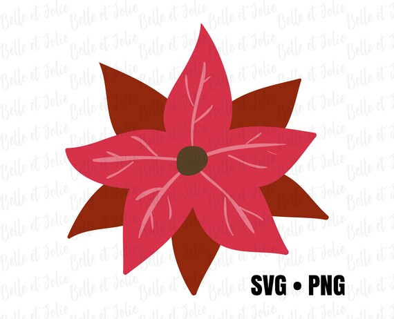 Poinsettia PNG SVG Christmas Clipart SVG Poinsettia Graphic - Etsy