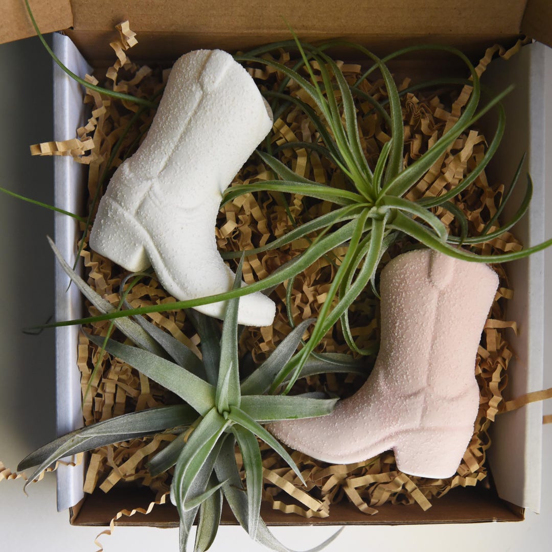 College Gift Box Boho Western Chic Theme Gift for Teen Next Chapter ...