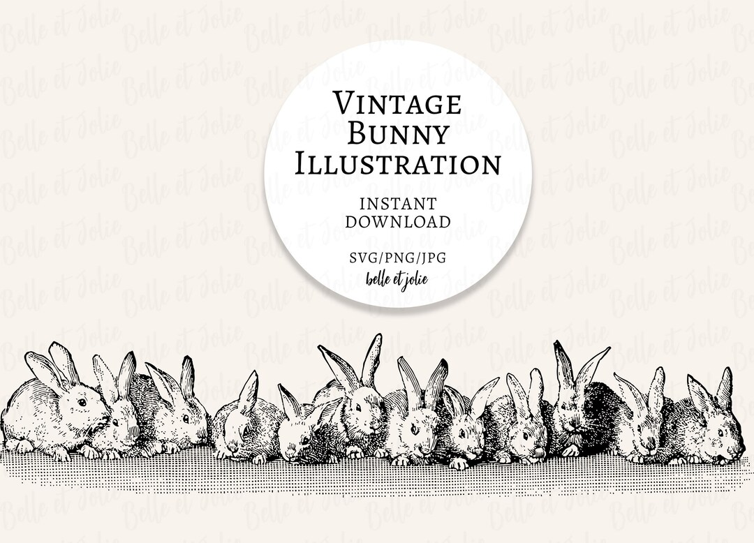 Easter SVG Bunny SVG Vintage Bunny PNG Easter Rabbit Bunny - Etsy