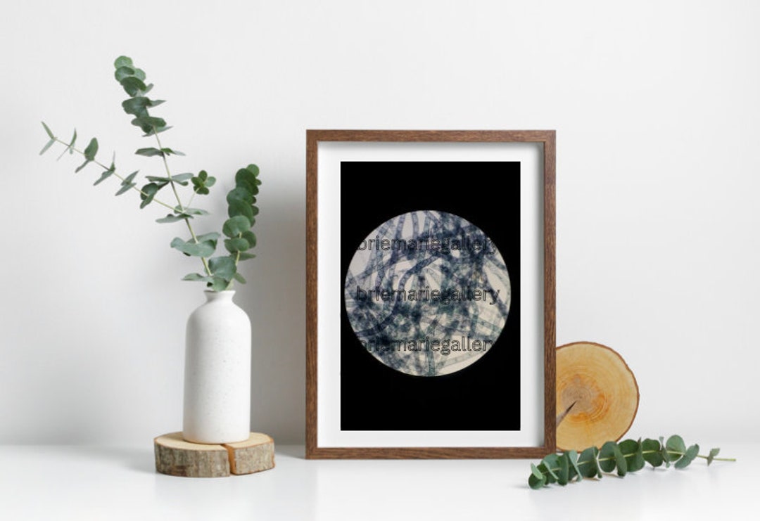 Microscopic Photography of Blue Algae Science Wall Art Digital Print - Etsy