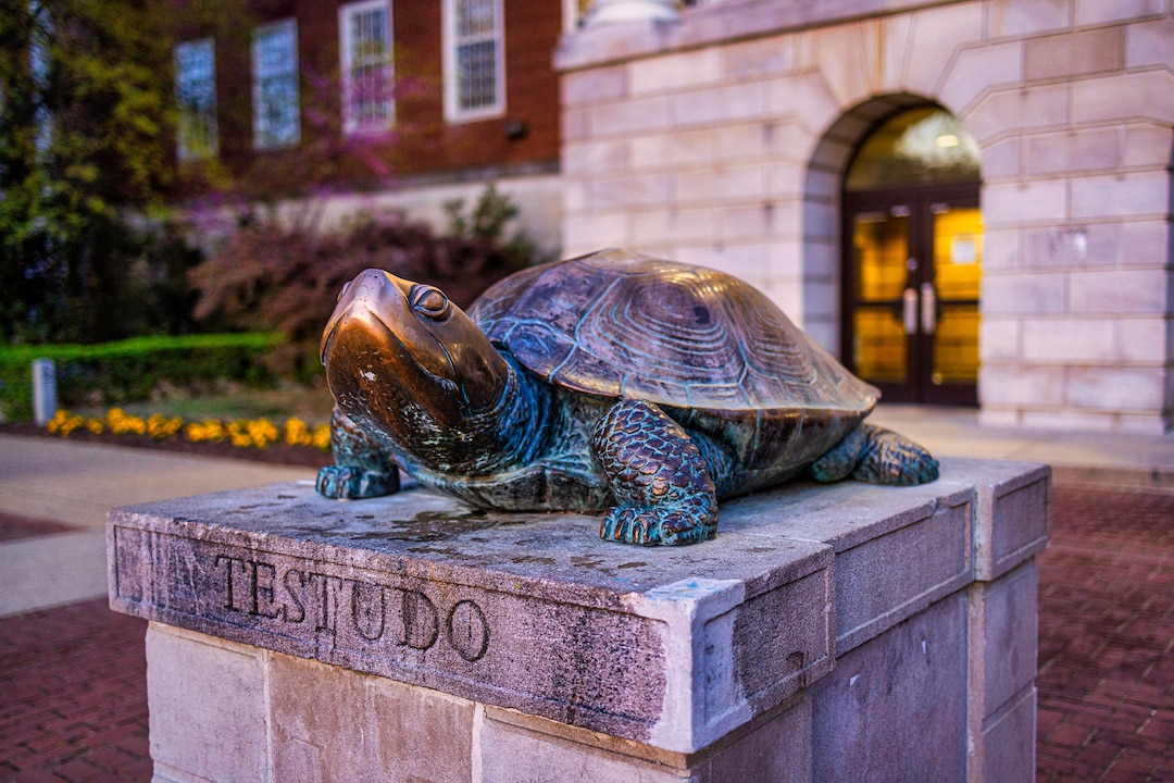 Testudo Statue at Sunrise, University of Maryland Landscape Poster ...
