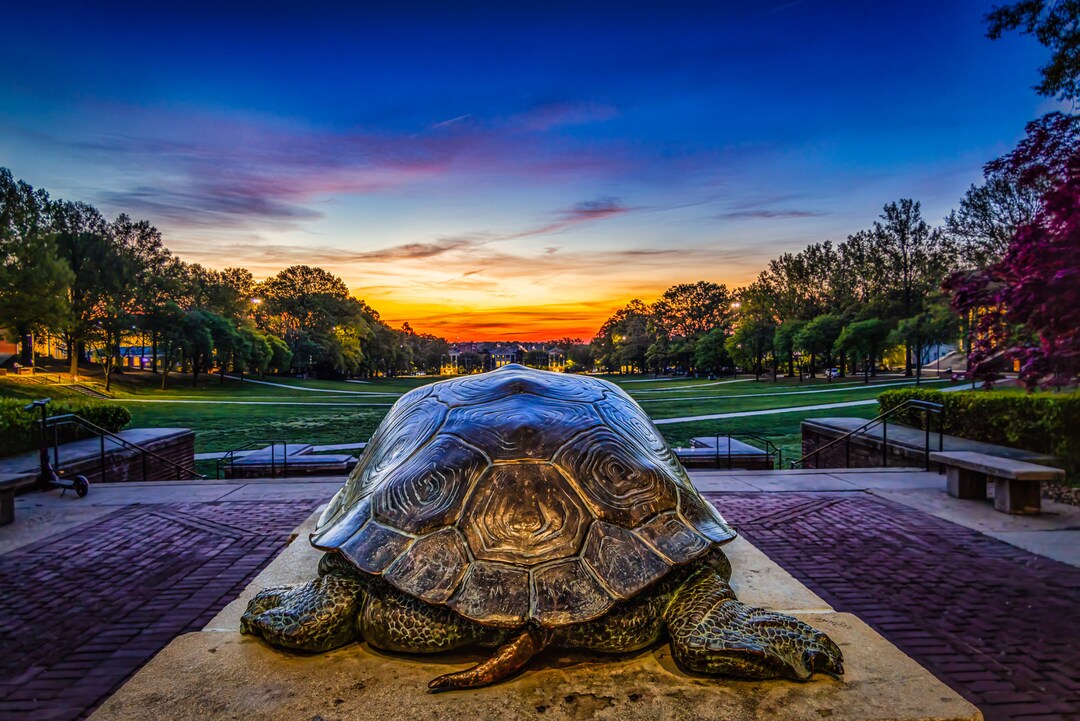 Sunrise at Testudo Statue, University of Maryland Fine Art Photo, Metal ...