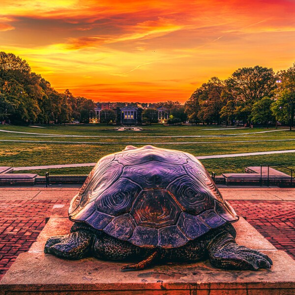 Maryland Wall Art - Etsy