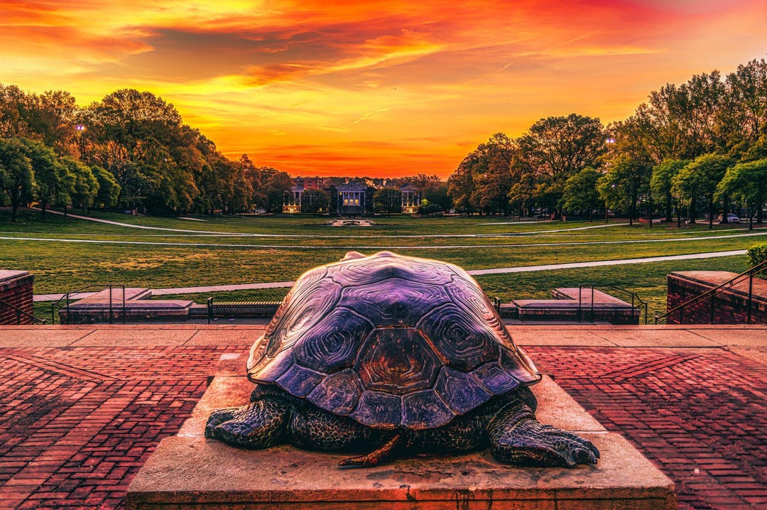 Testudo Statue Art Print: Sunrise Photo University of Maryland ...