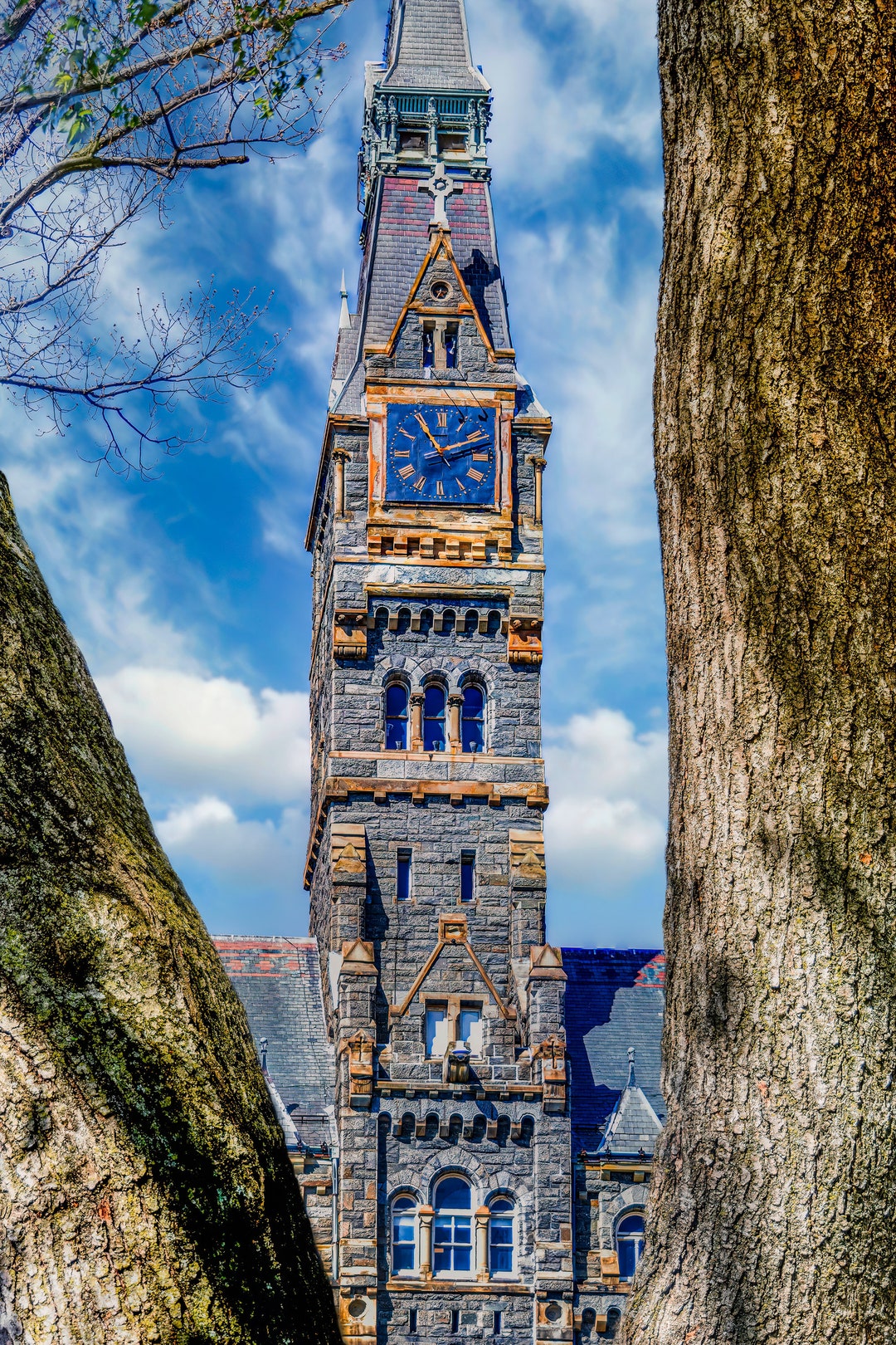 Healy Hall Clock Tower, Georgetown University Architecture Poster, Fine ...