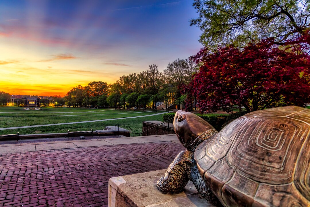 University of Maryland Testudo Statue, Fine Art Photography, Metal ...