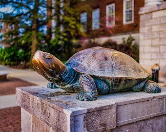 University of Maryland 'testudo' Statue Replica Box - Etsy