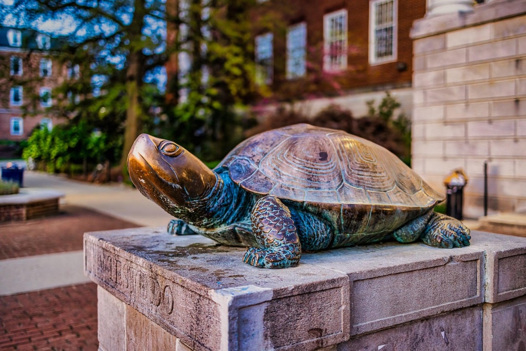 Testudo Statue Poster Sunrise Wall Art: University of Maryland Print ...