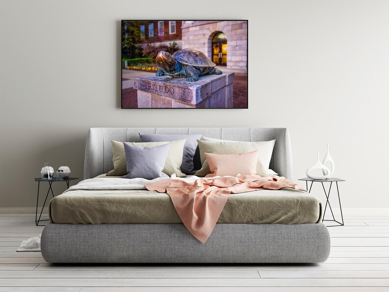 Testudo Statue Decor Art Print: University of Maryland Wall Art ...