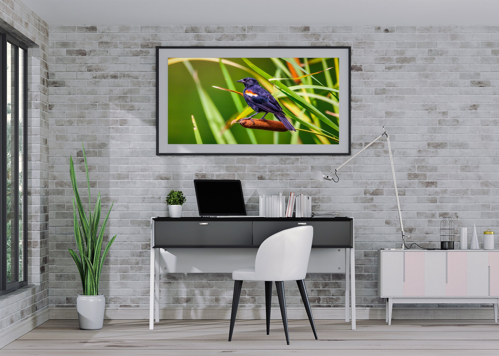 Black Fish Crows, Virginia Wildlife and Nature Photography, Bird Metal ...