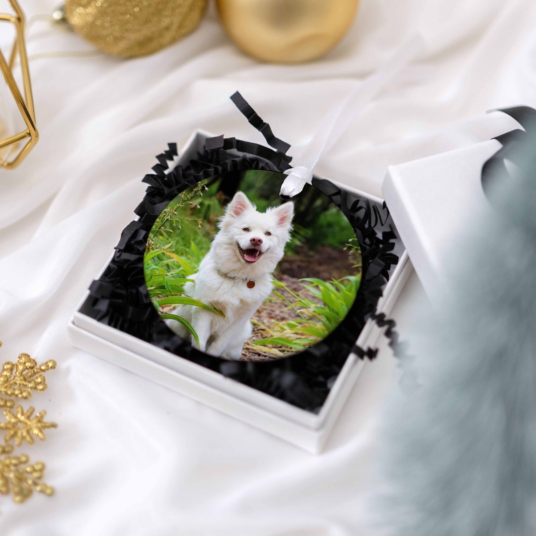 Photo Dog Christmas Tree Bauble Personalised Christmas Ornaments for ...