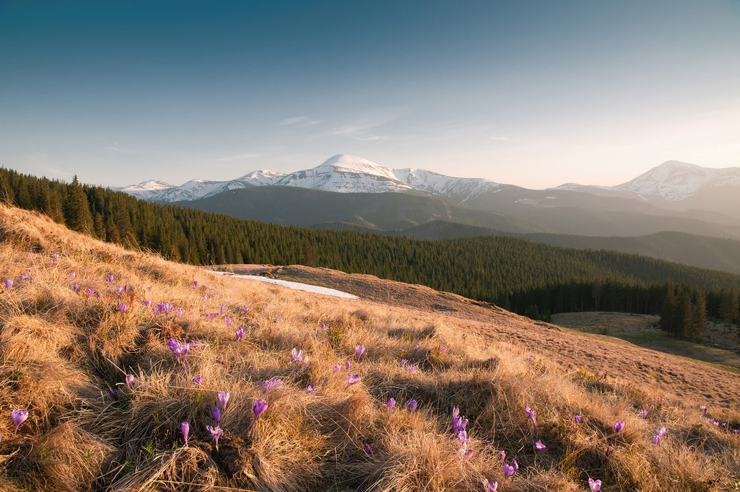 Spring in Mountains, Large Landscape Print, Flowers Blooming - Etsy