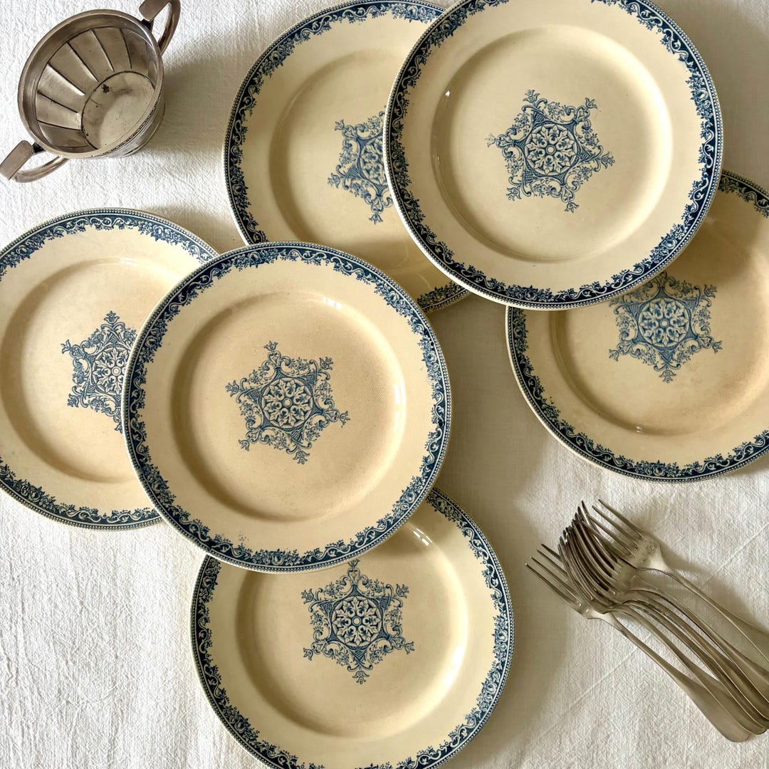 6 Superb Old Flat Plates in Ironstone With Plant Frieze and Blue ...