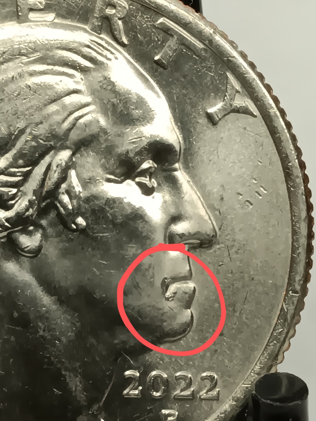 Drooling George Dr Sally Ride Quarter - Etsy