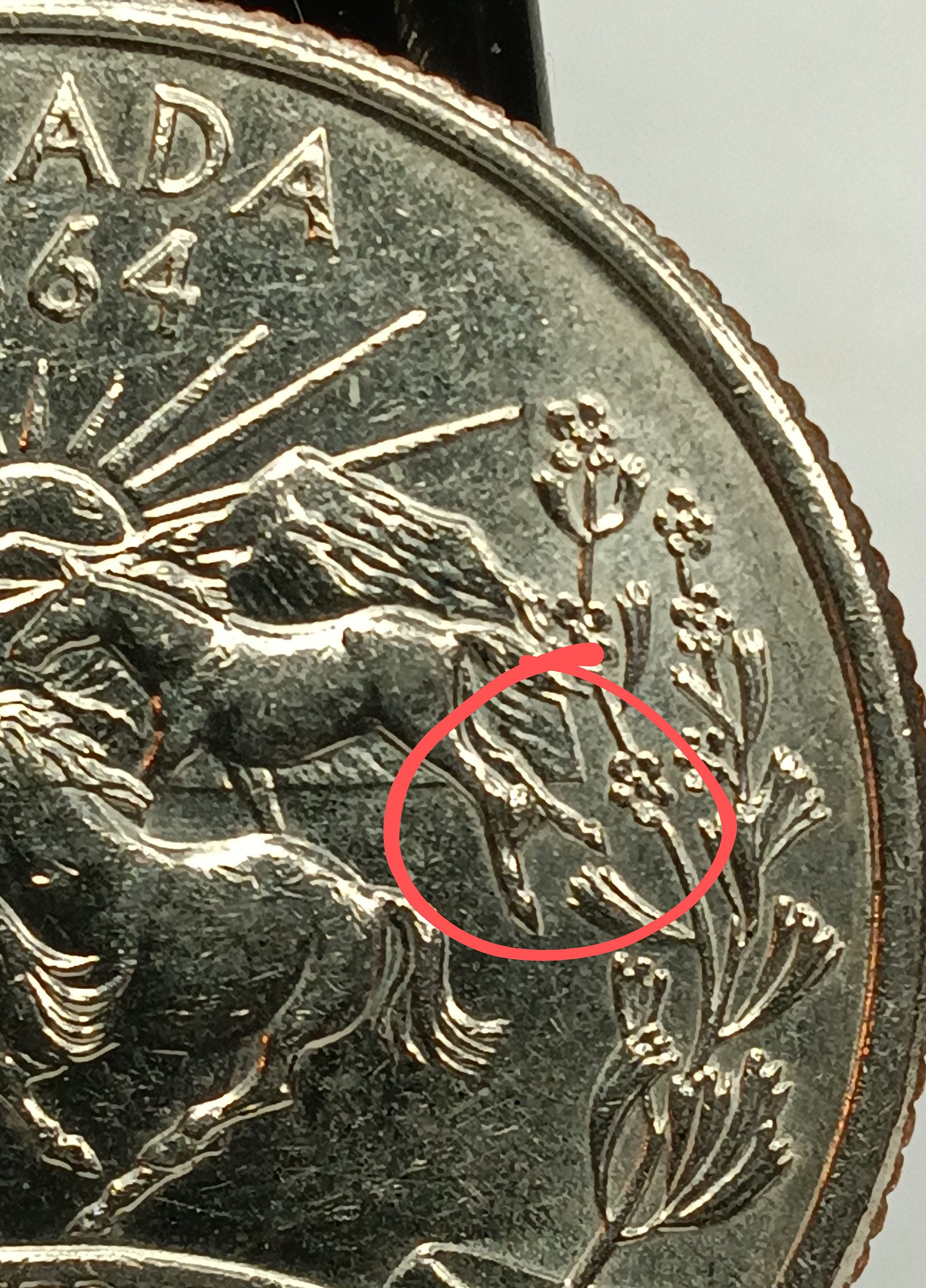 2006 Nevada Pooping Horse - Etsy