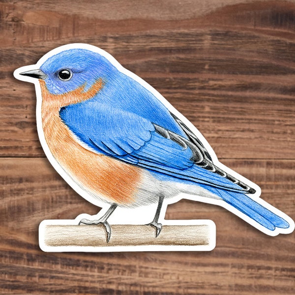 Bluebird Stickers - Etsy