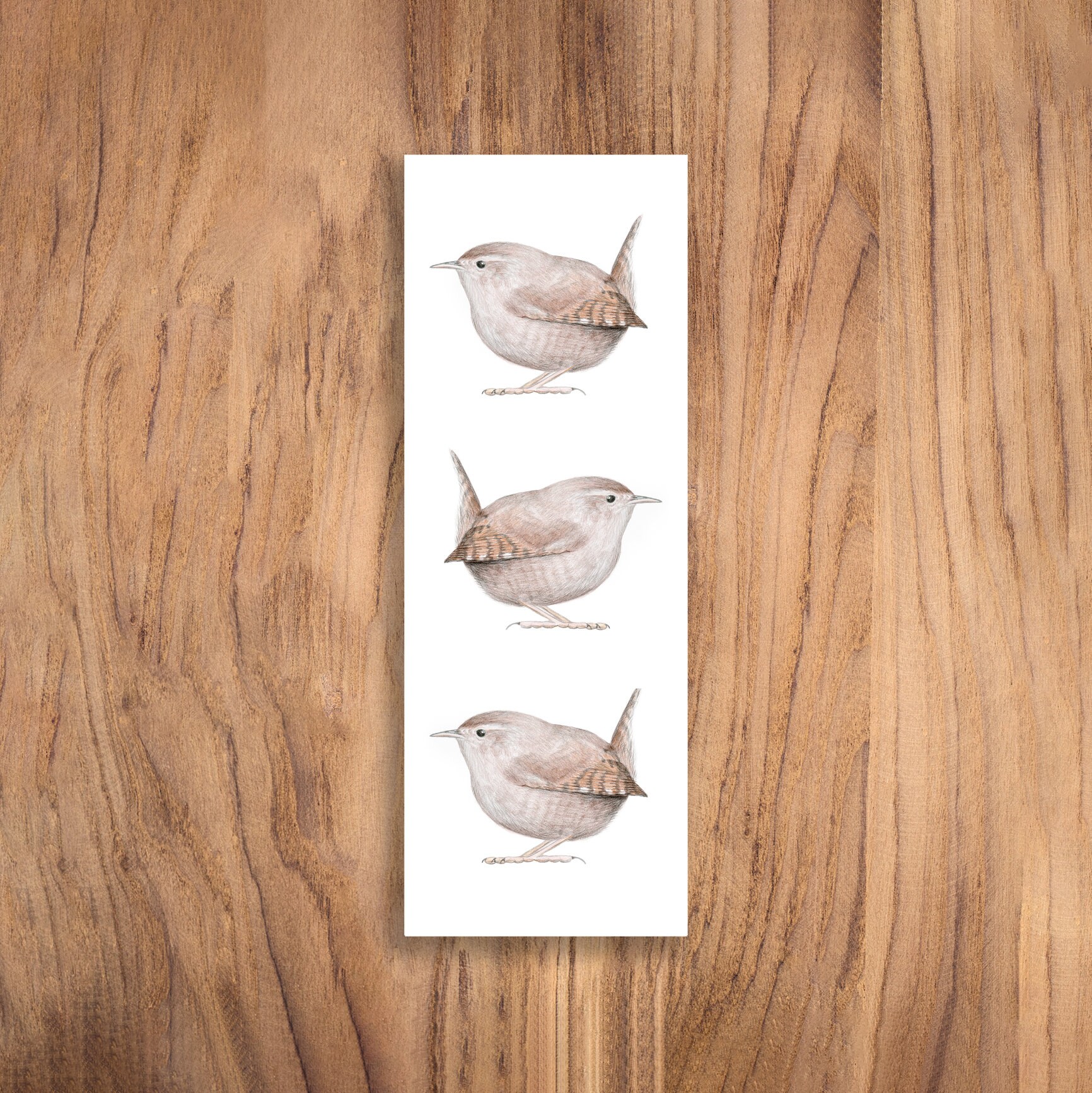 Wren Bookmark Bird Bookmark Art Bookmark Gift for Bird | Etsy